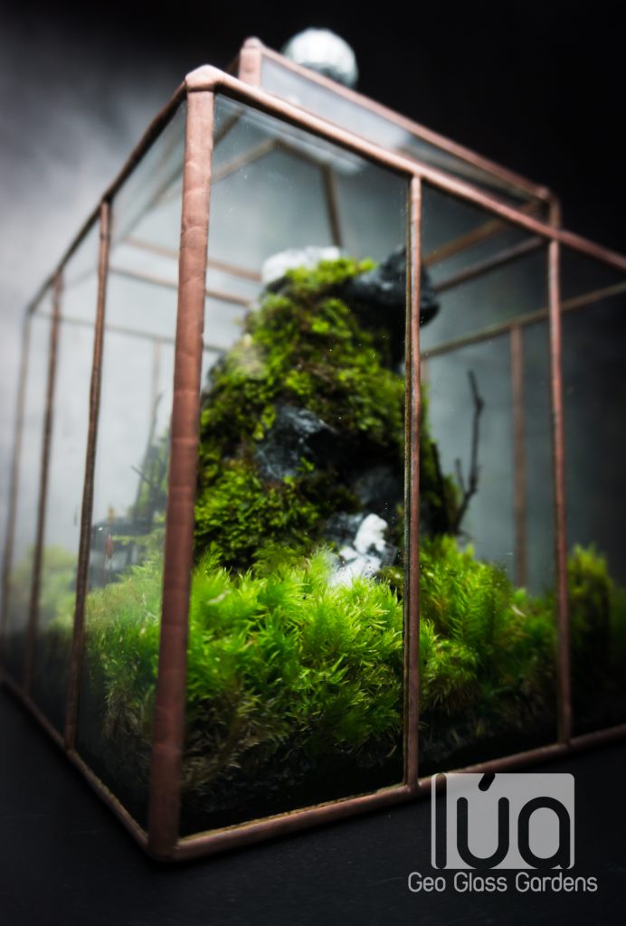 TERRARIUM CỦA PHÁI ĐẸP - THE PENTHOUSE | Terrarium Kính Ghép Đa Giác