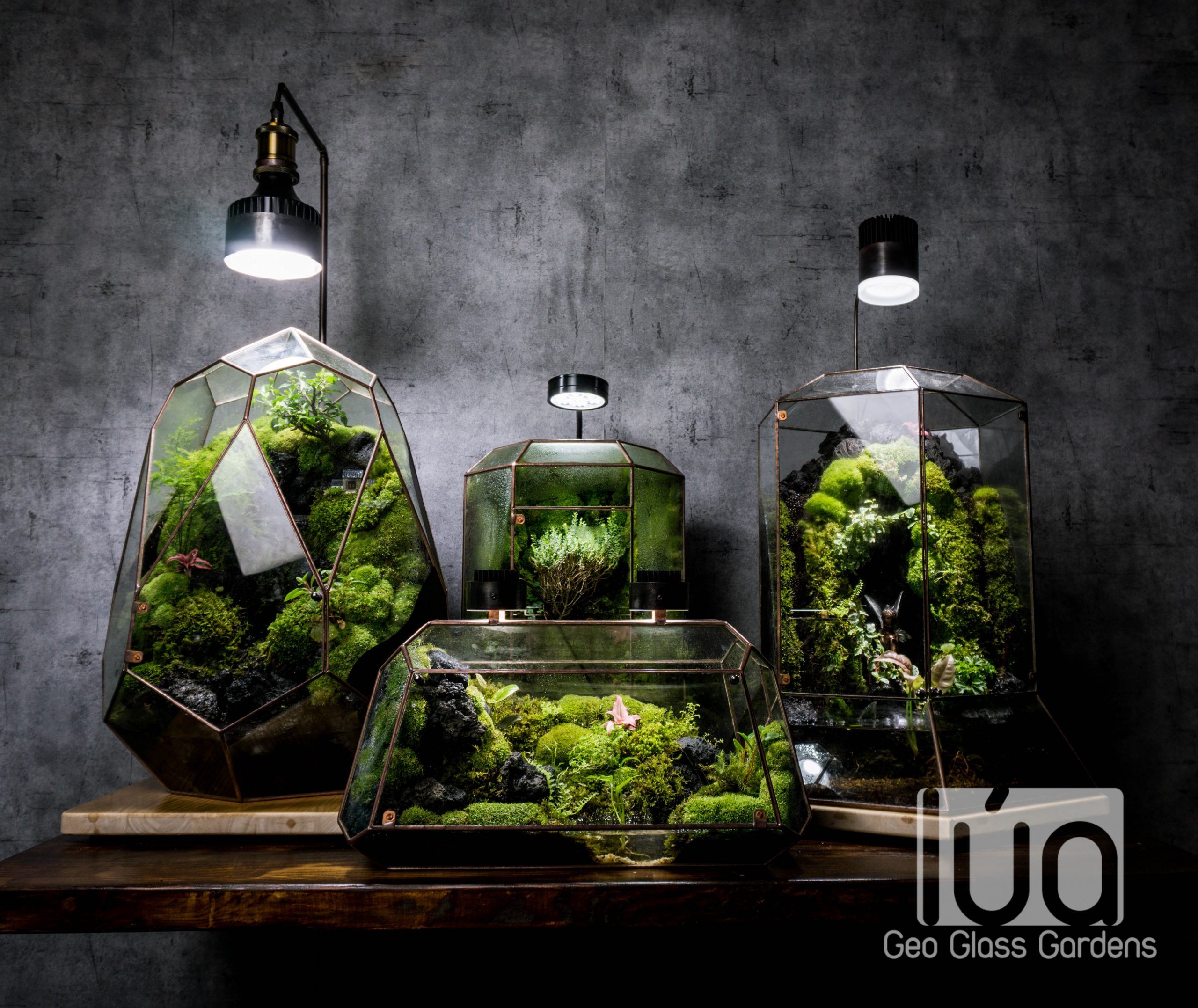 Terrarium Mini | Terrarium Kính Ghép Đa Giác