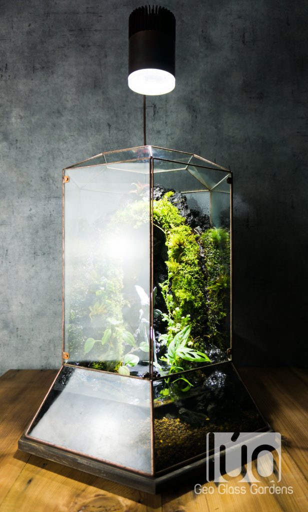 ĐỘNG TIÊN - THE FAIRY CAVE | Terrarium Kính Ghép Đa Giác